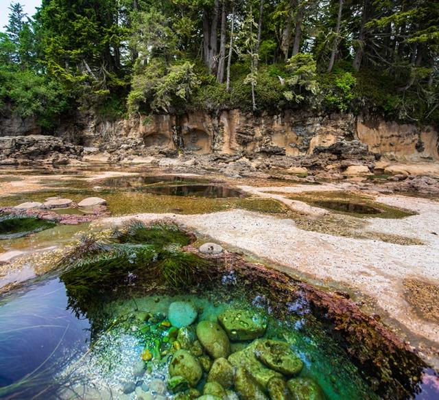 7 Reasons to Visit Victoria, BC | Blog