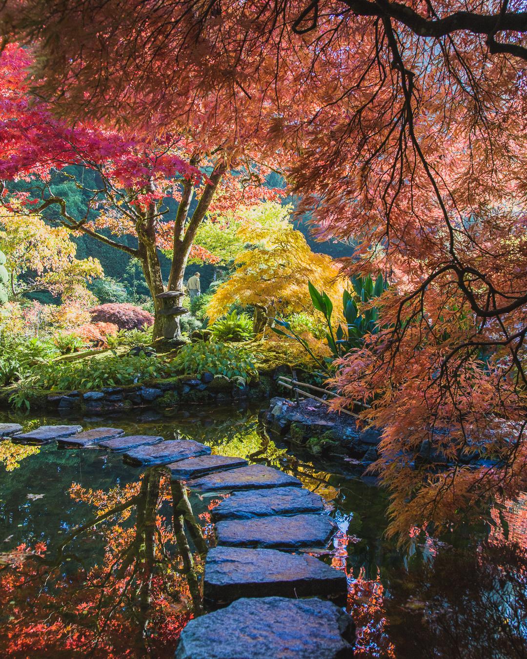 Top Places to See Fall Foliage Around Greater Victoria | Blog
