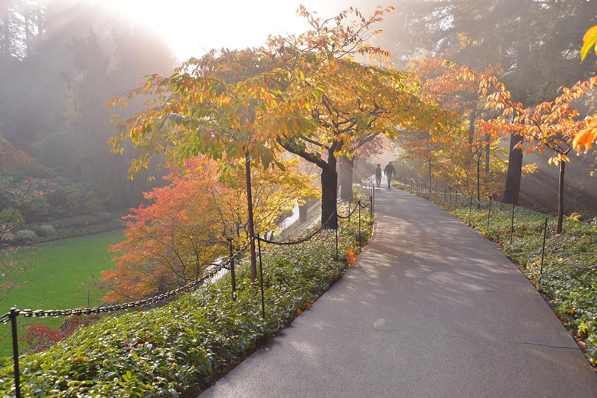 Top Places to See Fall Foliage Around Greater Victoria | Blog