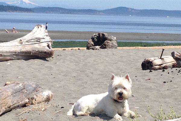 Secluded Beaches to Visit in Victoria, BC | Tourism Victoria