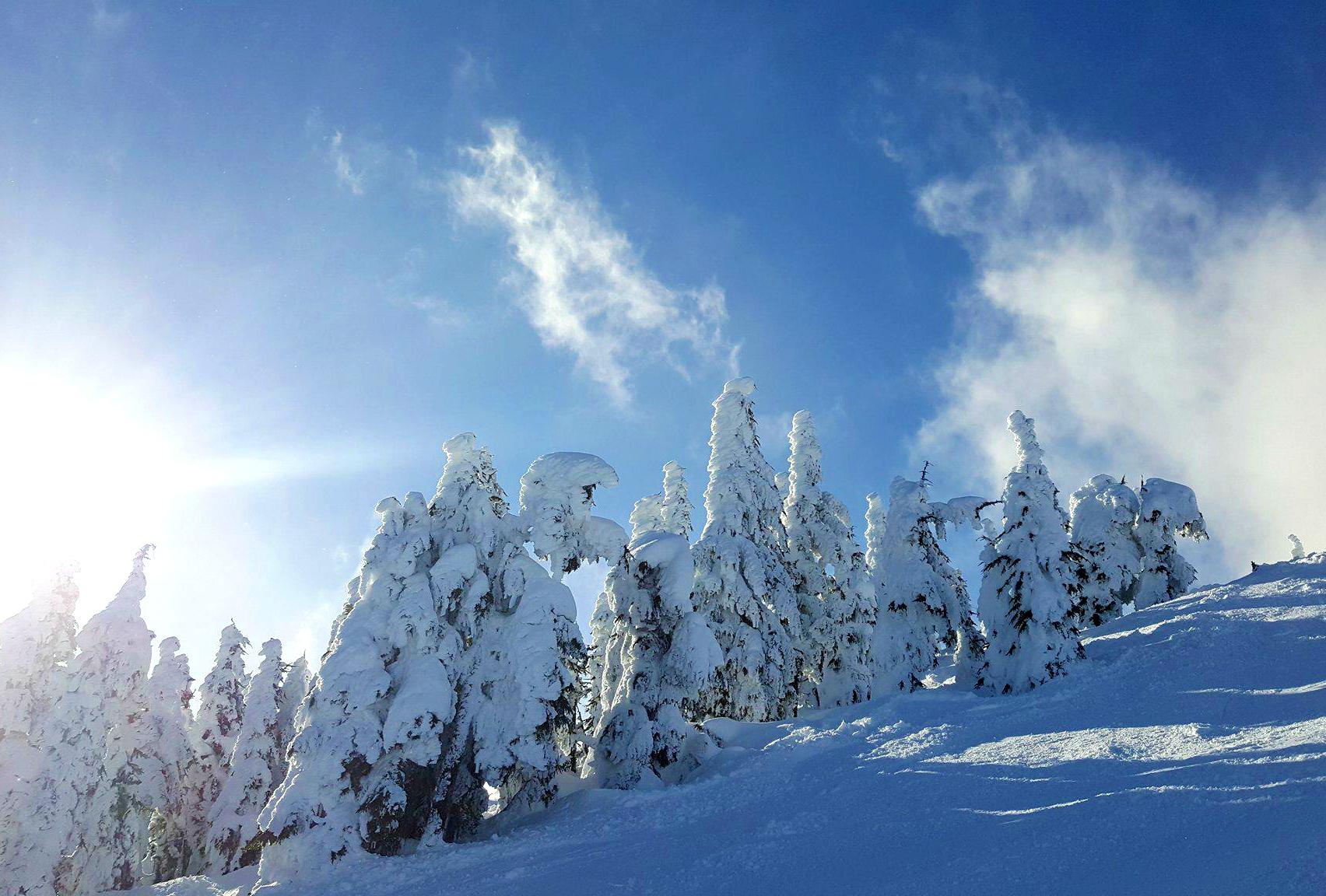 Top 10 Things to Do with Your Family in Victoria | Blog