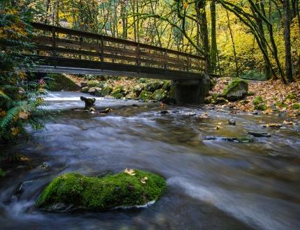 Things to Do, Sights to See in Victoria BC - Tourism Victoria