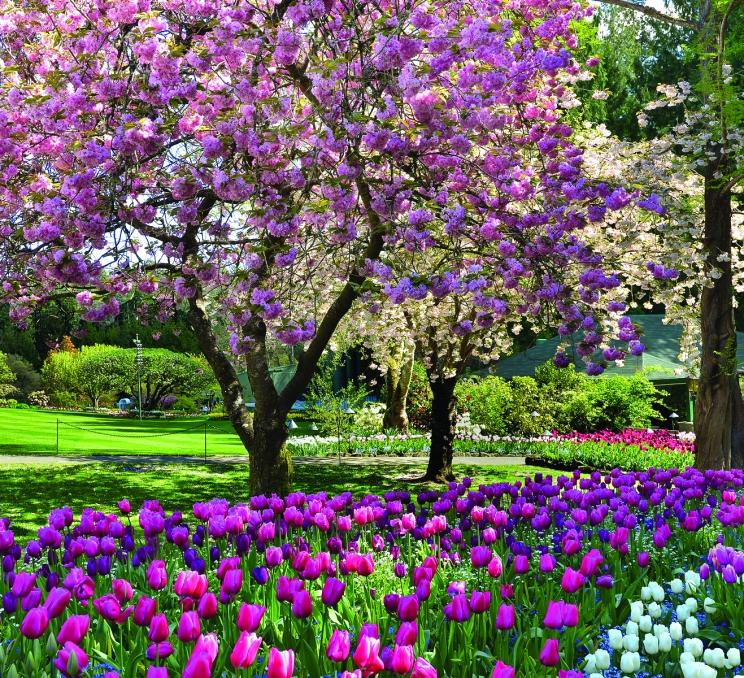 10 Ideas for an Epic Spring Girls' Getaway to Victoria, BC | Blog