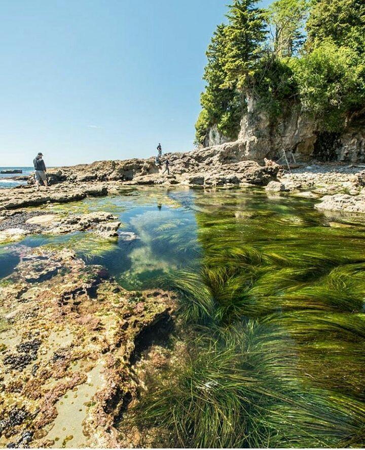 Top 10 Things to Do with Your Family in Victoria | Blog