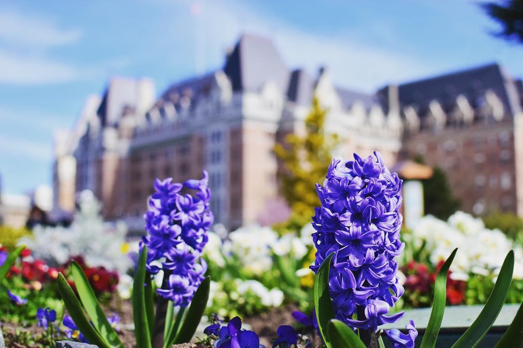 72 Hours in Victoria: Spring Itinerary | Blog
