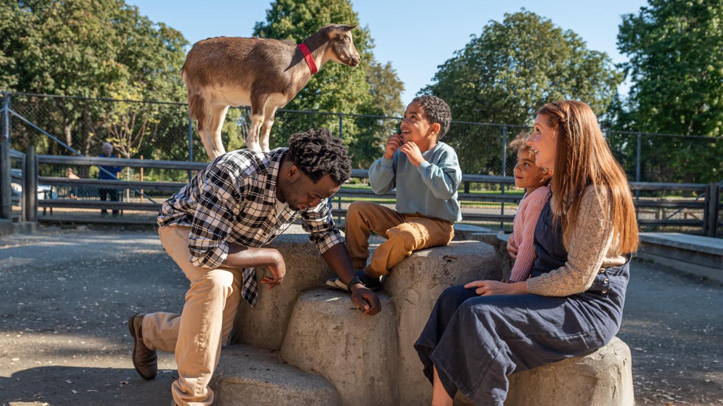 Family Fun in Victoria on Spring Break | Blog