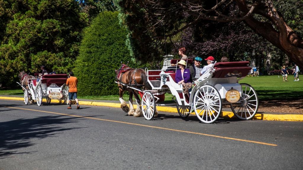 Victoria’s Quintessential Tours - Tourism Victoria