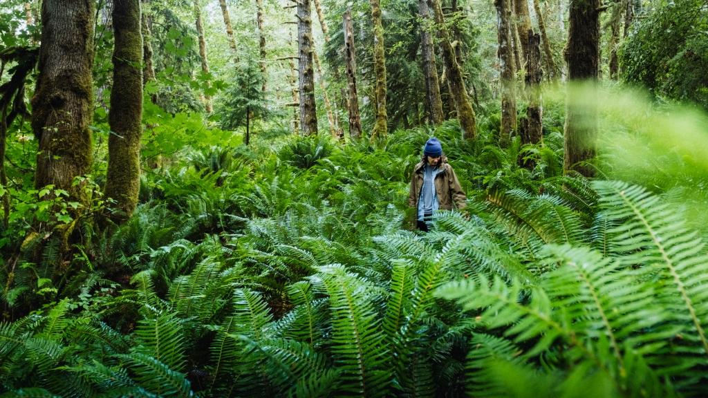 Victoria’s Quintessential Tours | Blog