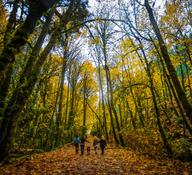 10 Things To Do In Victoria This October | Blog