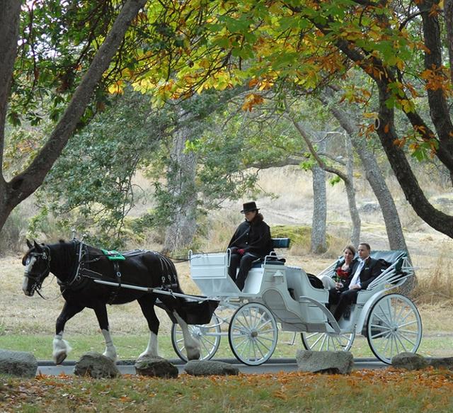 Love is in the Air: A Romantic Getaway | Tourism Victoria