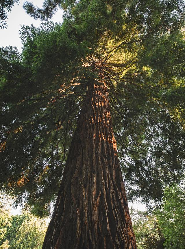 Indigenous Culture in Victoria, BC | Tourism Victoria